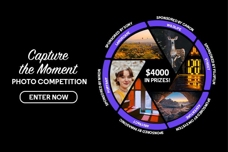 7 Essential Lighting Setups for Portrait Photography | CameraPro AU