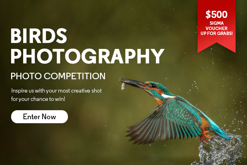 7 Essential Lighting Setups for Portrait Photography | CameraPro AU